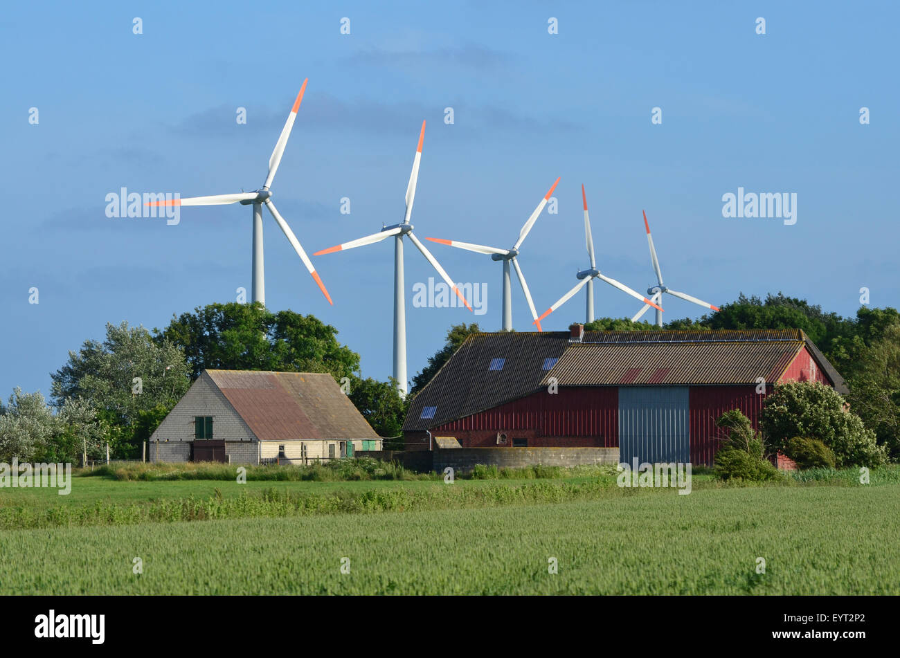Germany, Schleswig-Holstein, north frieze country, Pellworm, wind ...