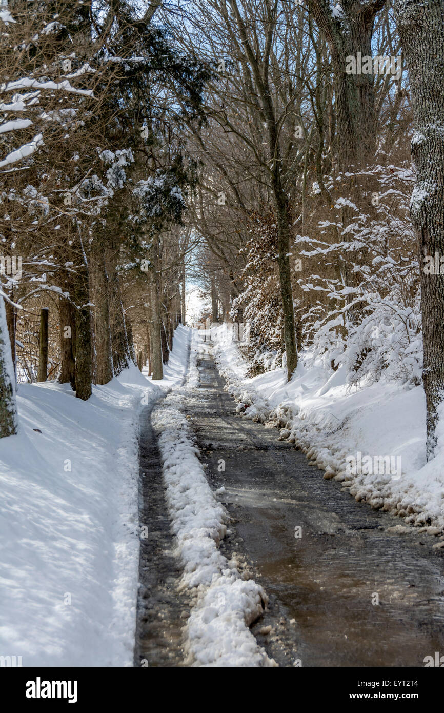 Snow covered narrow rural road in the Bluegrass region of Kentucky USA ...