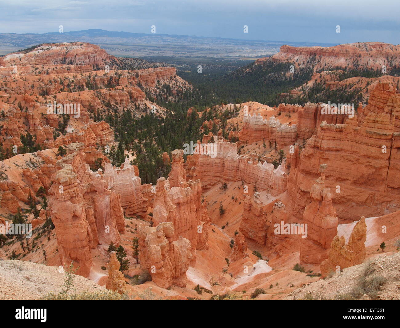 Bryce Canyon National Park Stock Photo - Alamy