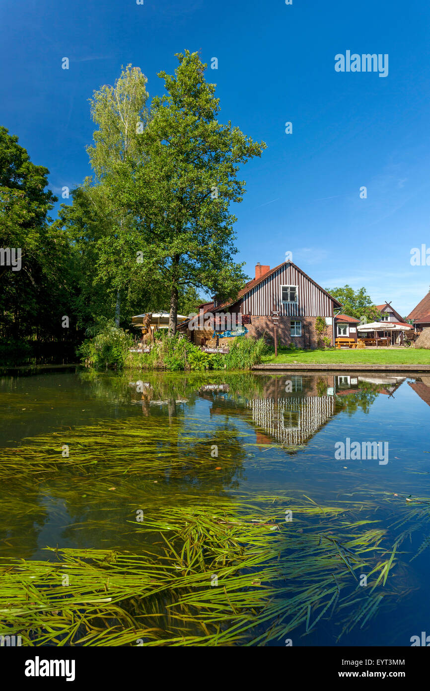 Europe, Germany, Brandenburg, Spreewald (Spree Forest), Leipe ...
