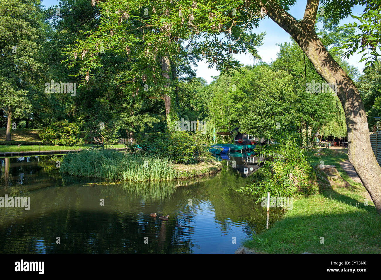 Europe, Germany, Brandenburg, Spreewald (Spree Forest), Lübben, harbour ...