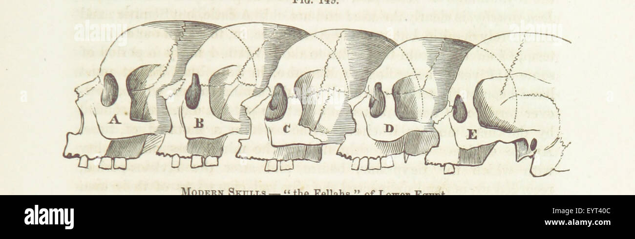 An illustration from page 281 of 'Types of Mankind,' showcasing the ...