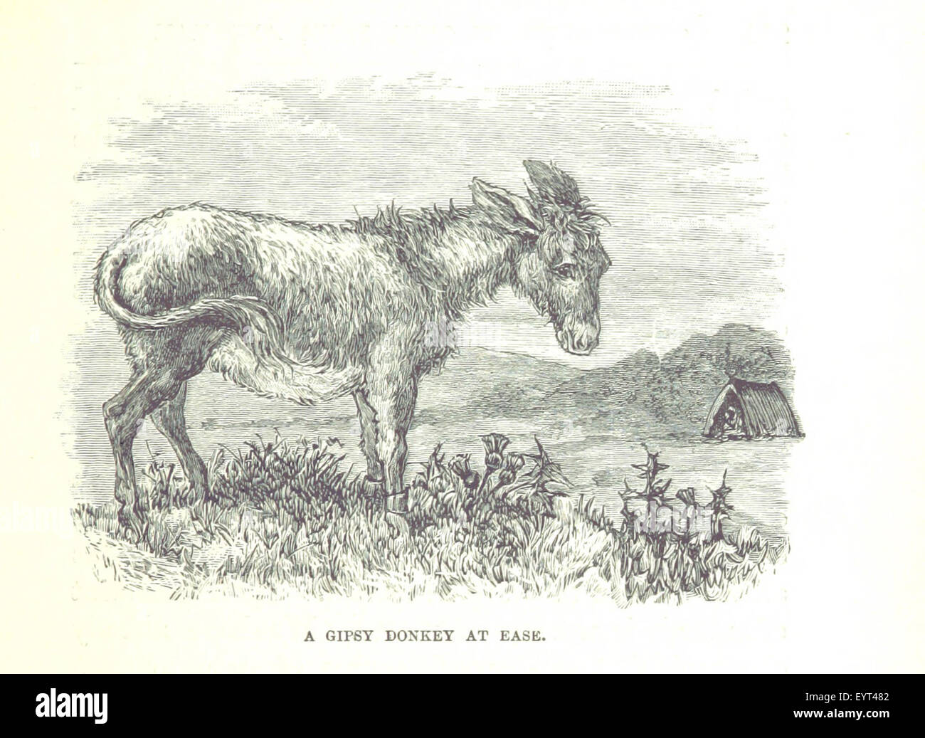 Photograph from 'Our Gipsies in City, Tent, and Van', depicting the ...