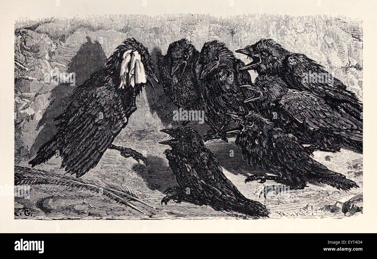 'The Vain Jackdaw' fable by Aesop (circa 600BC). A Jackdaw tried to ...