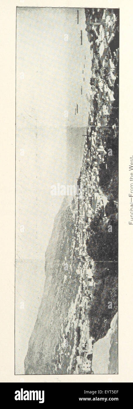 This image, from page 31 of 'The Madeira Islands', likely features ...