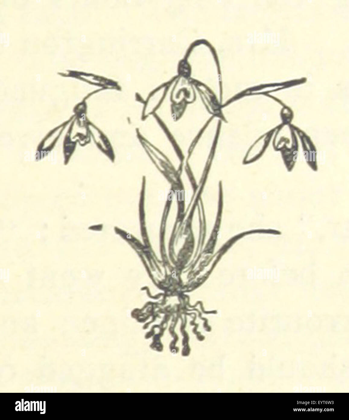 An illustration from the story 'Esther West,' showcasing a scene from ...