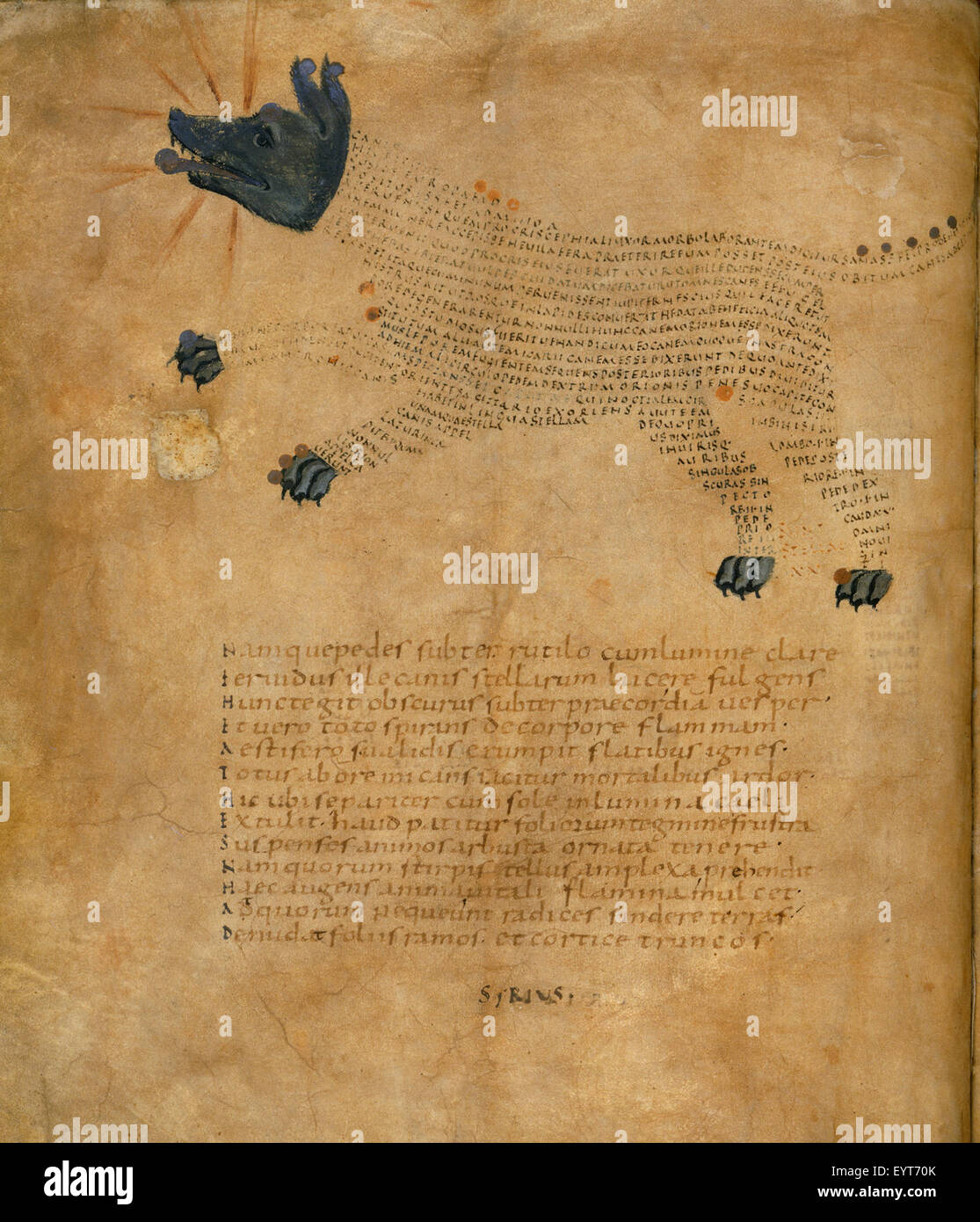 Photograph of an illustration depicting the constellation Sirius ...