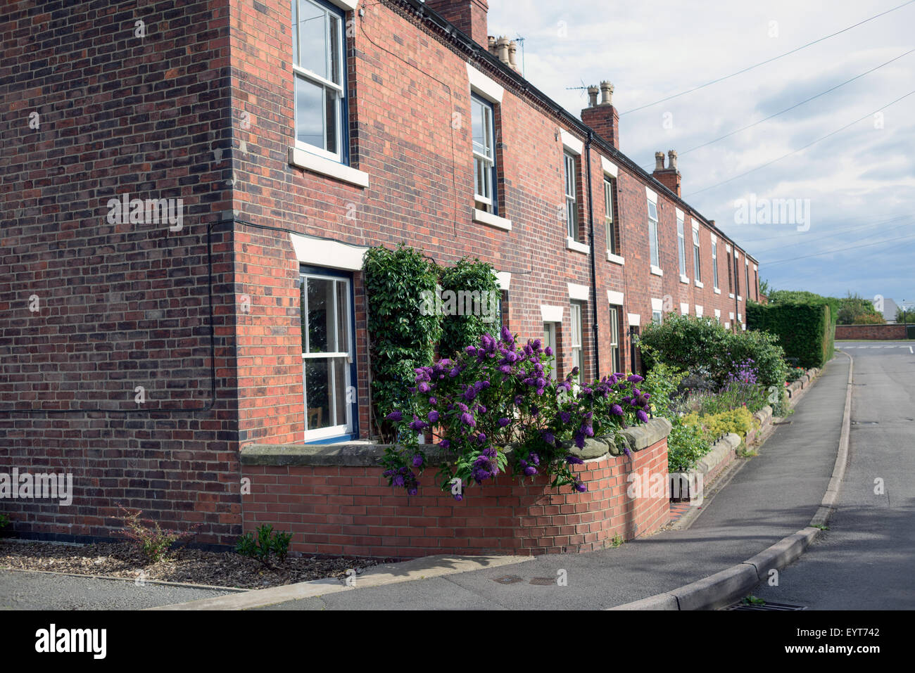 Row Of Terraced Houses With Laburnum In Garden Stock Photo - Alamy