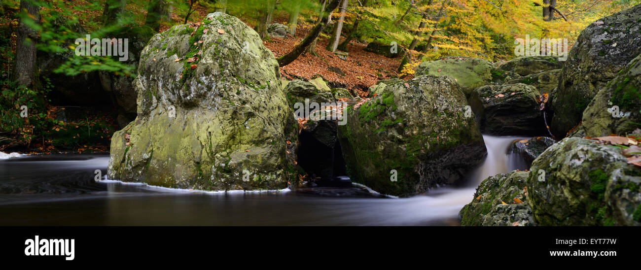 Belgium, High Fens, Hautes Fagnes, nature reserve High Fens-Eifel ...