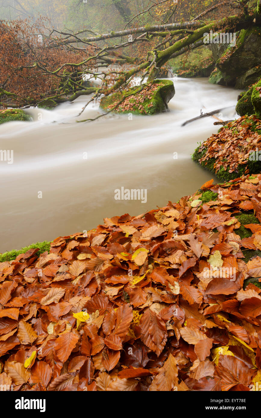River prum hi-res stock photography and images - Alamy