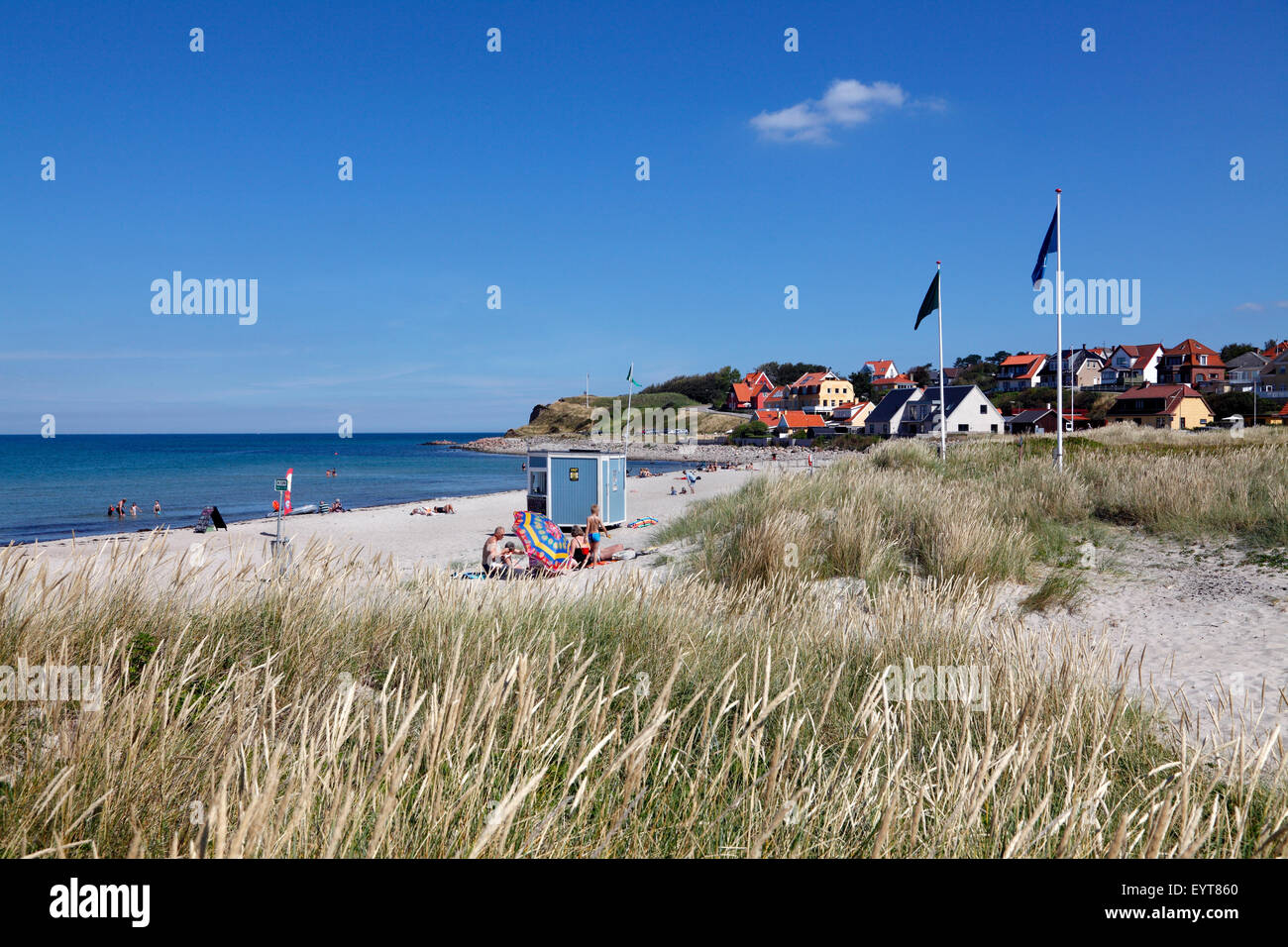 Hundested beach and the lower part of the moraine cliff, Spodsbjerg ...