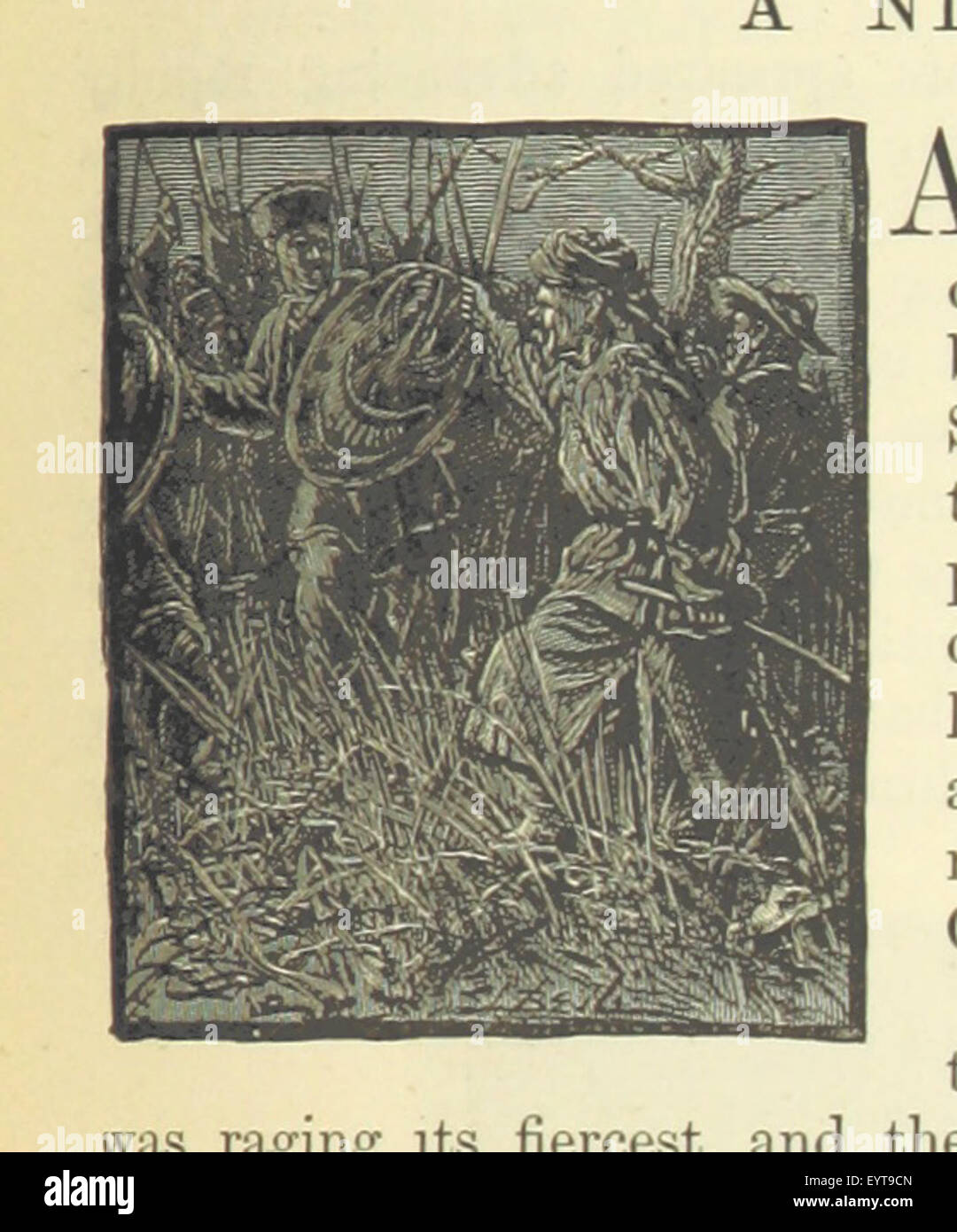 Photograph from page 433 of 'Gleanings from Popular Authors,' featuring ...