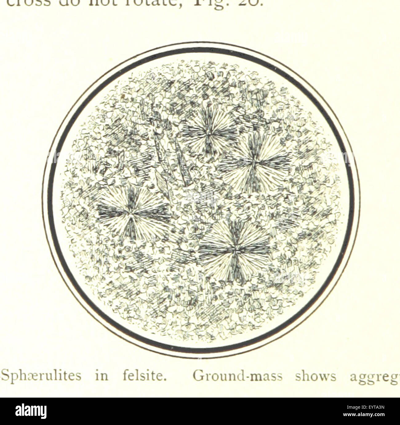 An image from 'Minerals in Rock Sections', showing a rock section under ...