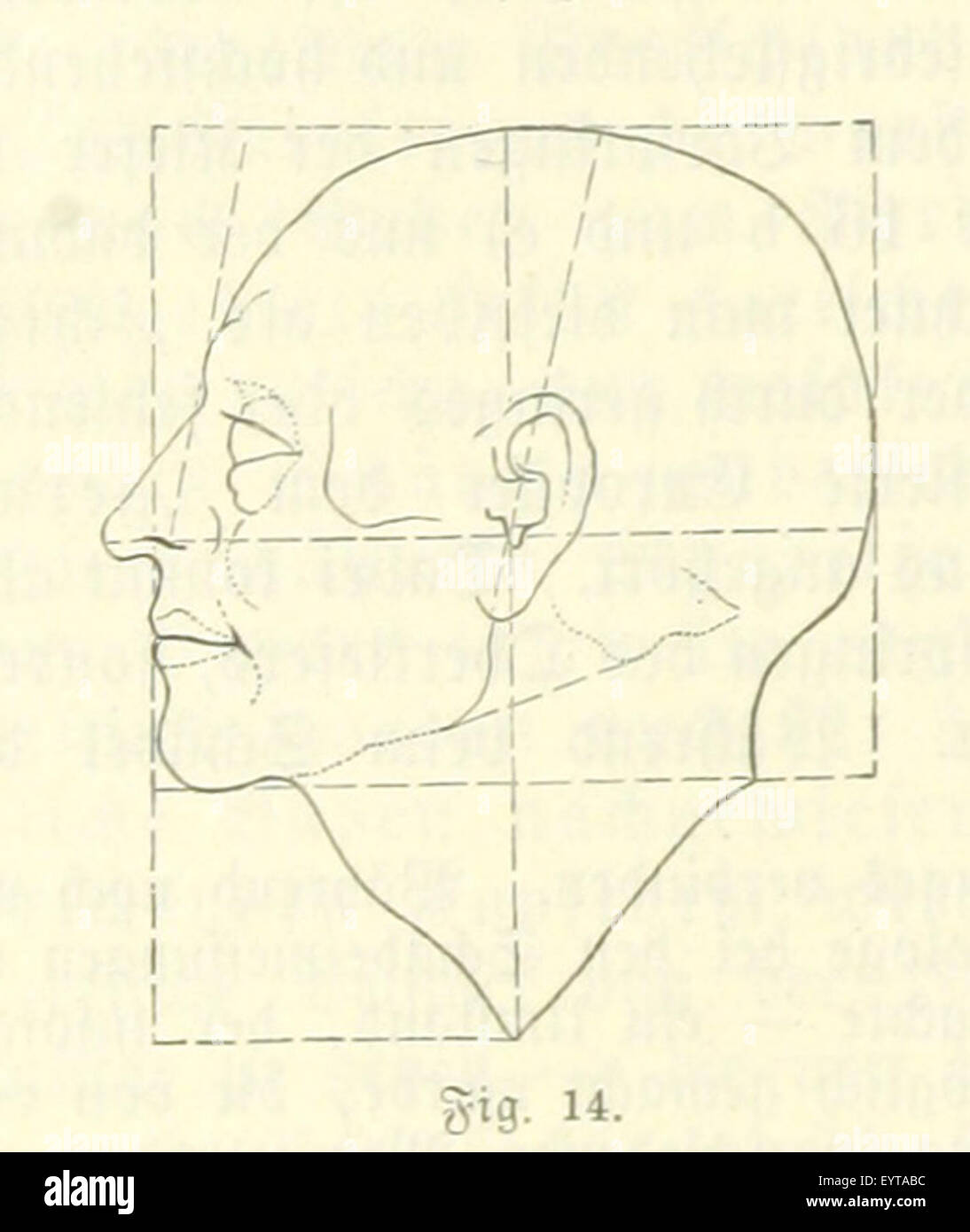 An image from 'Anthropologie,' illustrating an anthropological study ...