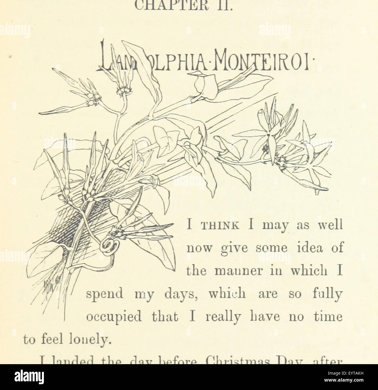 This image from page 49 of 'Delagoa Bay: Its Natives and Natural ...