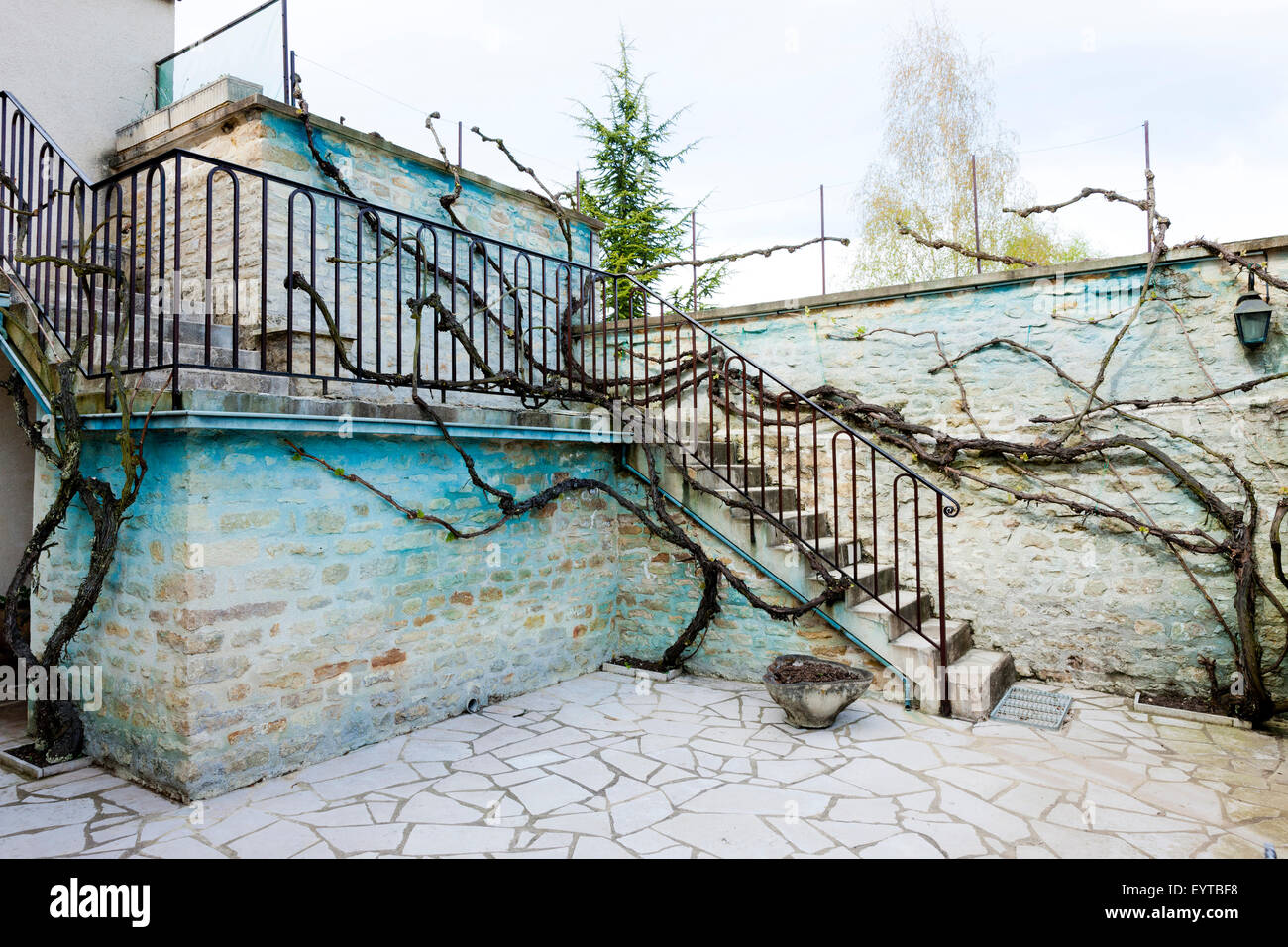 Vine covered porch hi-res stock photography and images - Alamy