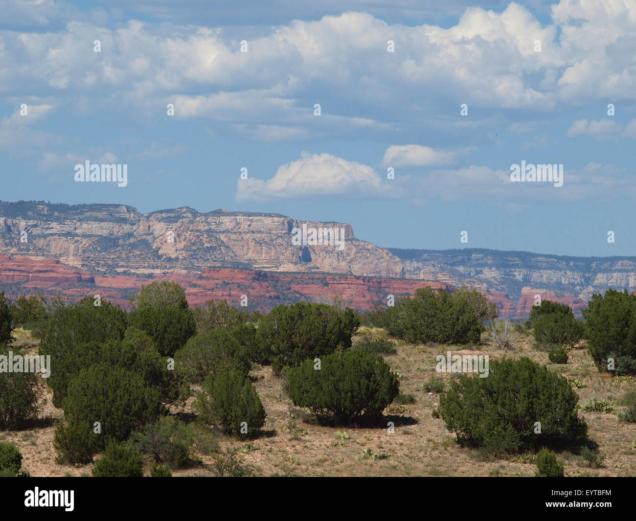 Northern arizona hi-res stock photography and images - Alamy