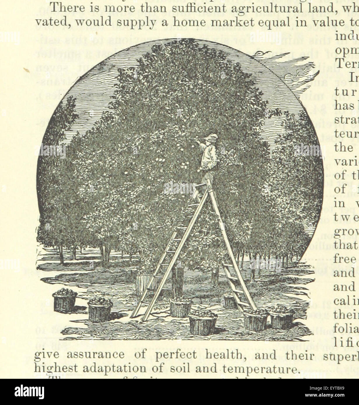 Image taken from page 54 of 'Aztlan. The history, resources and ...