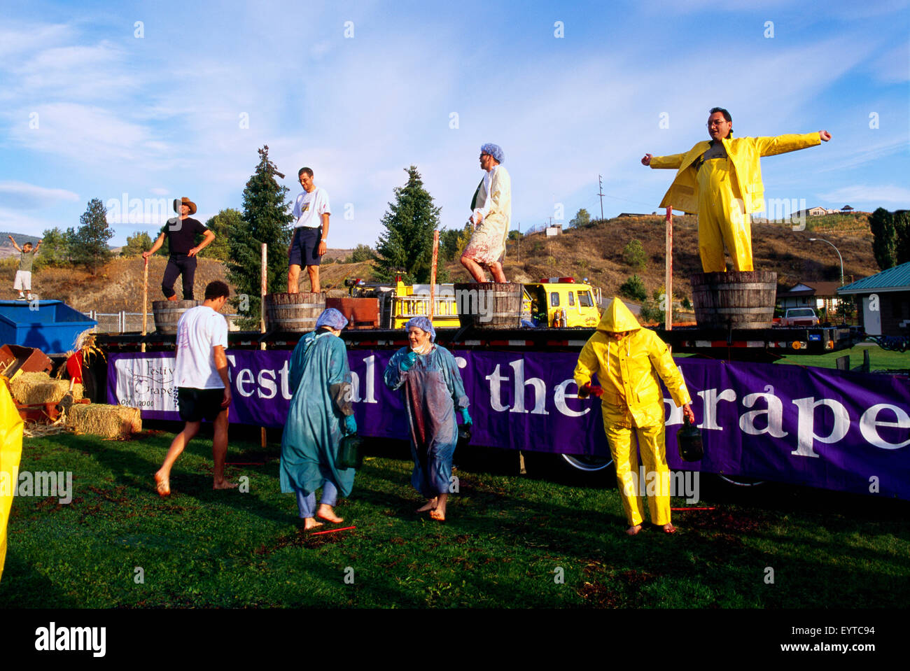 Grape Stomping Competition at Festival of the Grape, Oliver, BC ...