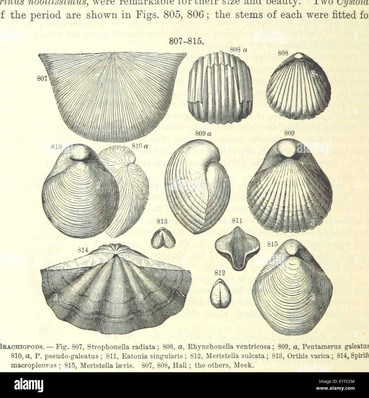 Image from 'Manual of Geology', showing geological principles with a ...