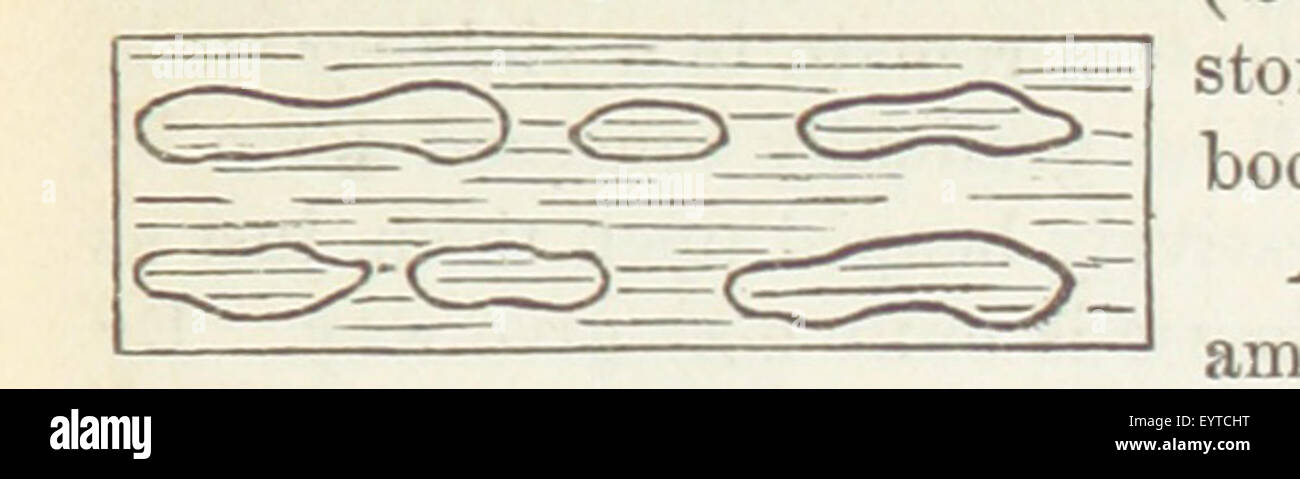 An image from 'Elements of Geology,' depicting geological formations ...