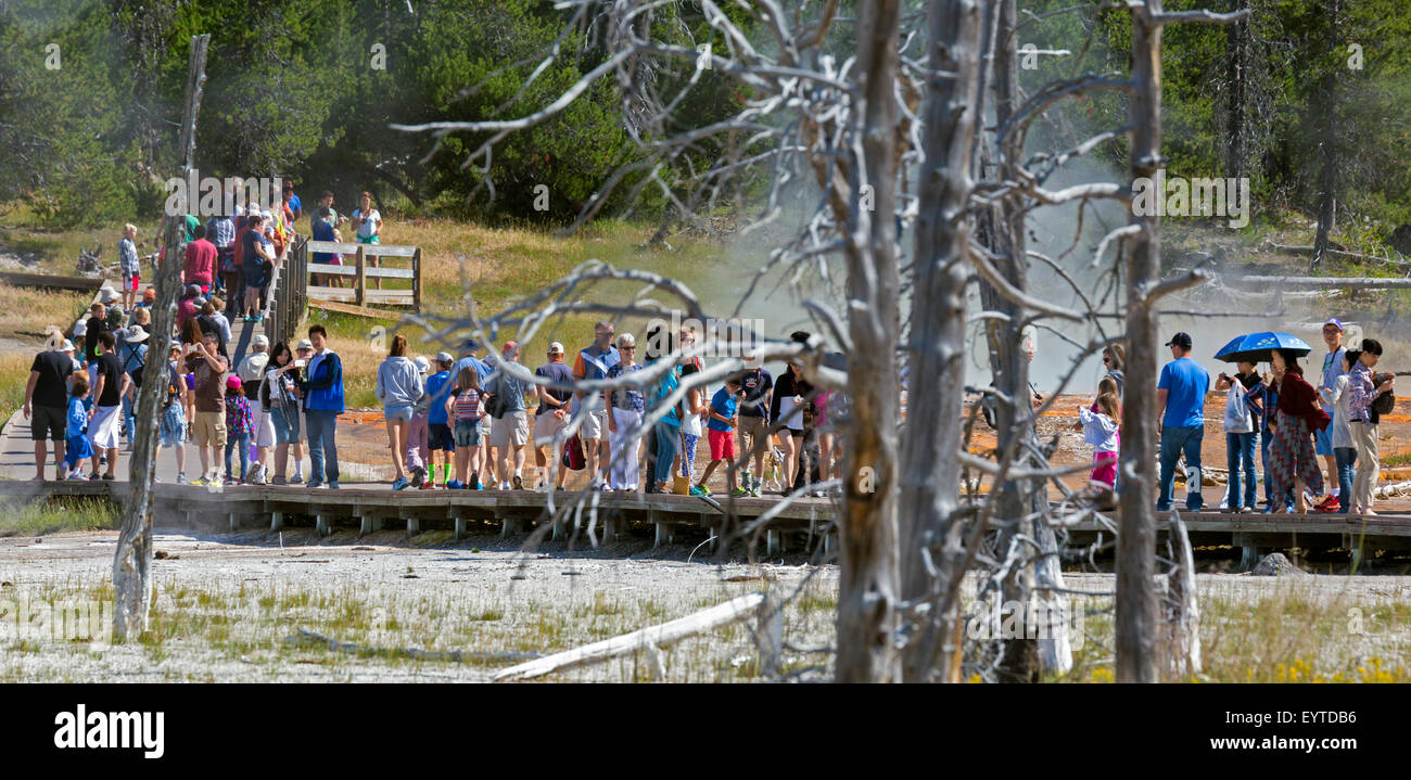Yellowstone National Park, Wyoming - Tourists crowd the boardwalks in ...