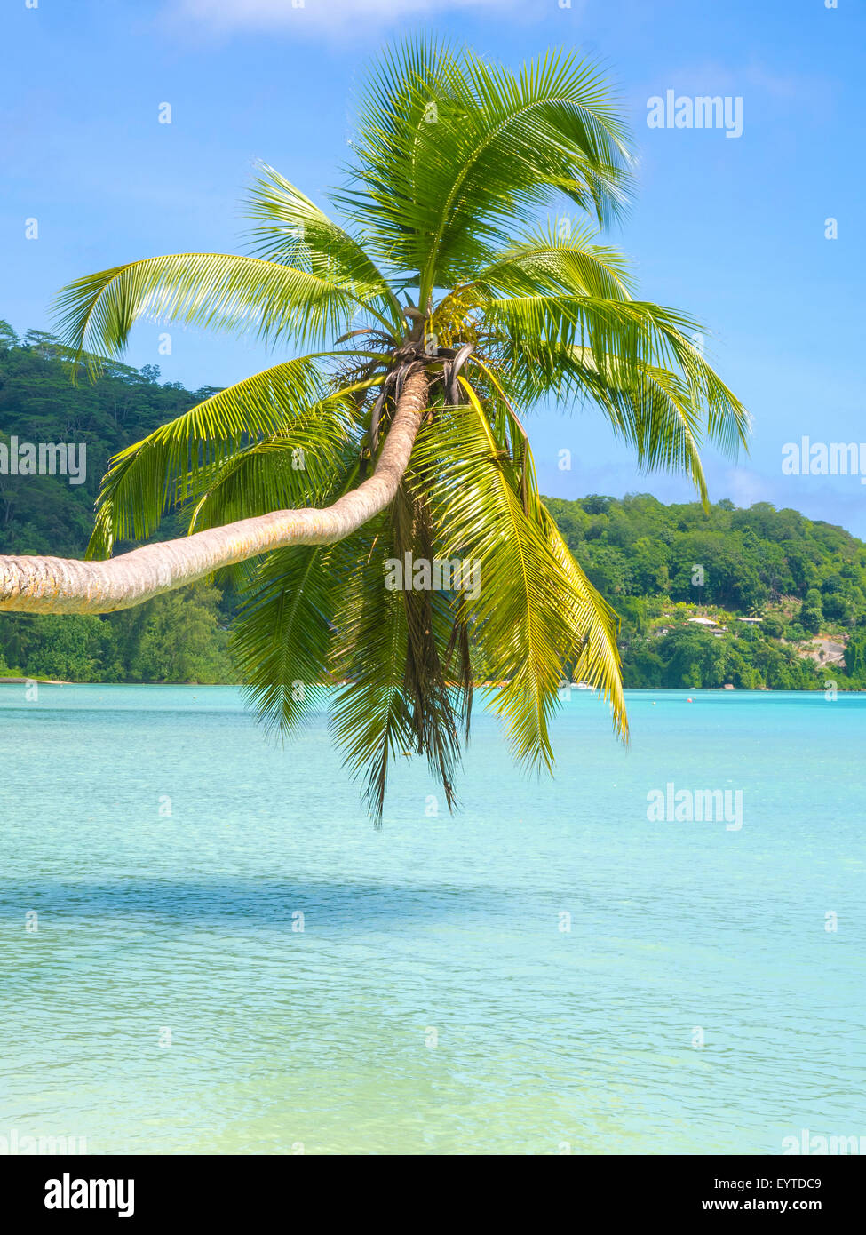 Beautiful tropical beach in Seychelles Stock Photo - Alamy