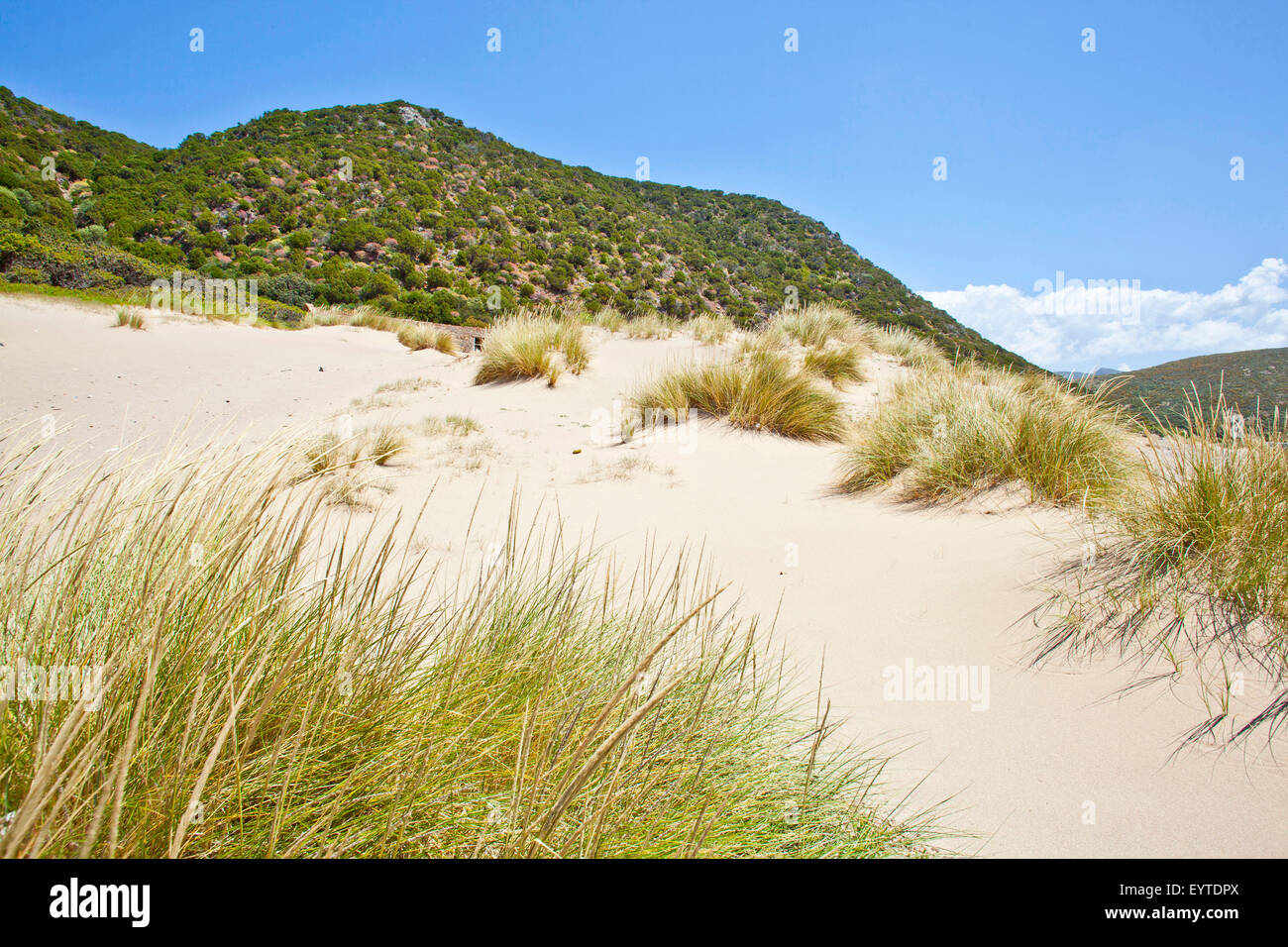 Italy, Sardinia, coastal scenery, Cala Domestica Stock Photo - Alamy