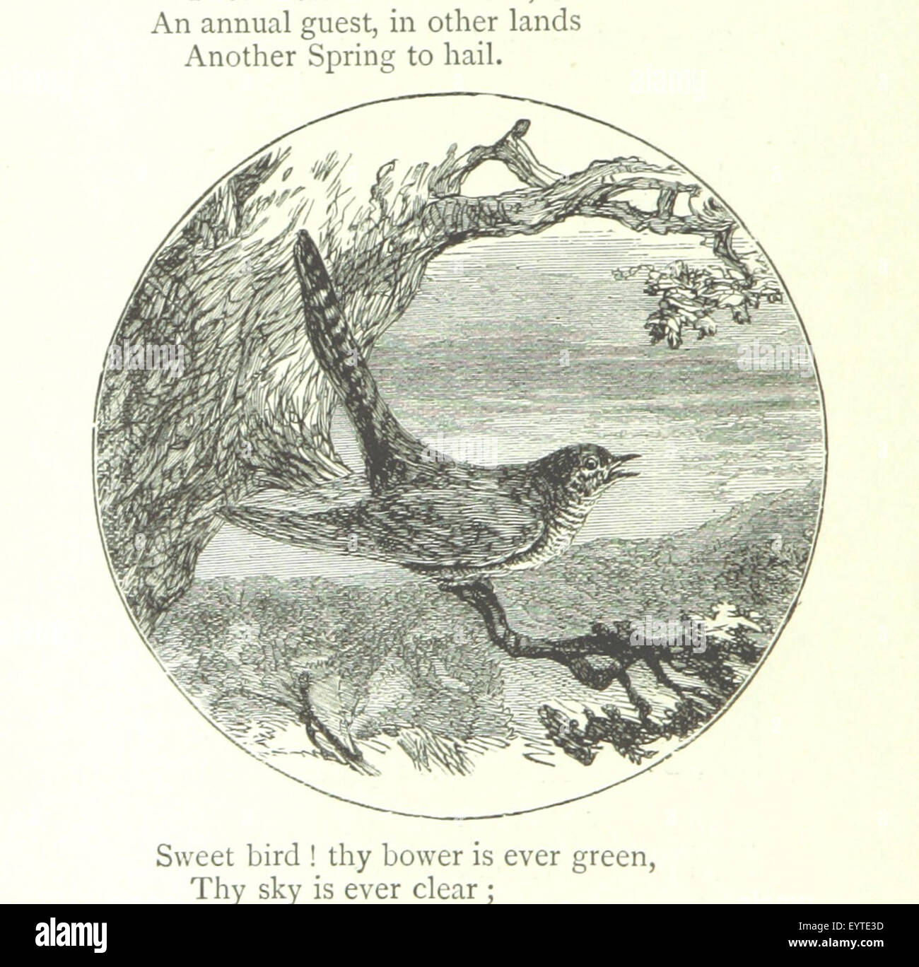 This image is from 'The Child's Book of Poetry,' depicting a selection ...