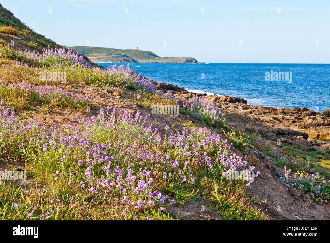 Italy, Sardinia, coastal scenery Stock Photo - Alamy