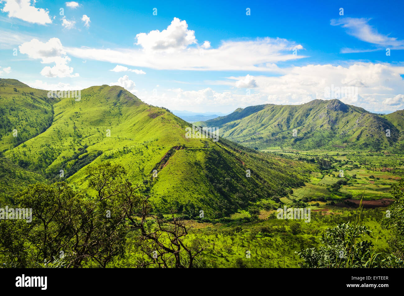 Lush african countryside hi-res stock photography and images - Alamy