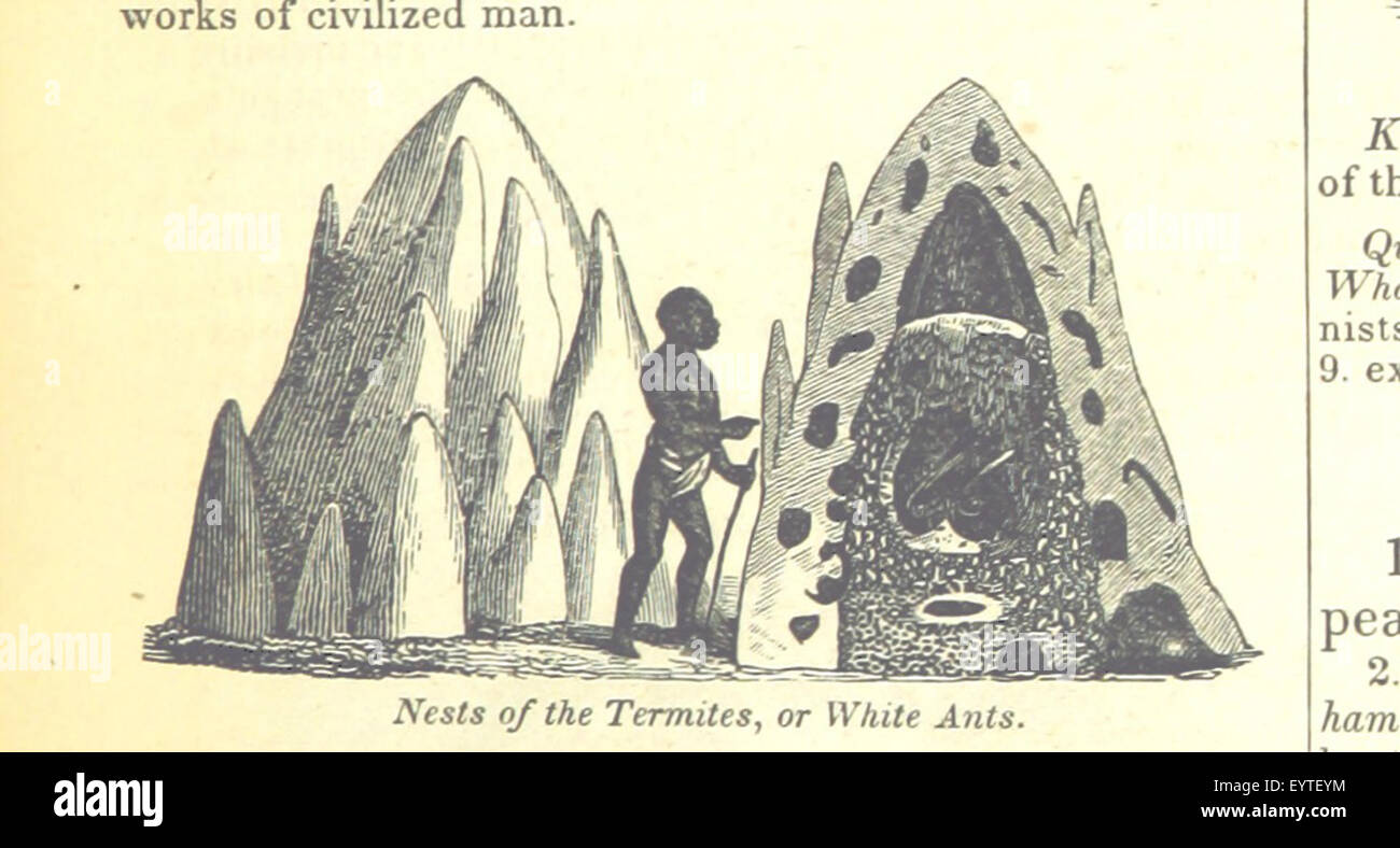 An image from page 71 of 'A System of Geography,' illustrating a ...