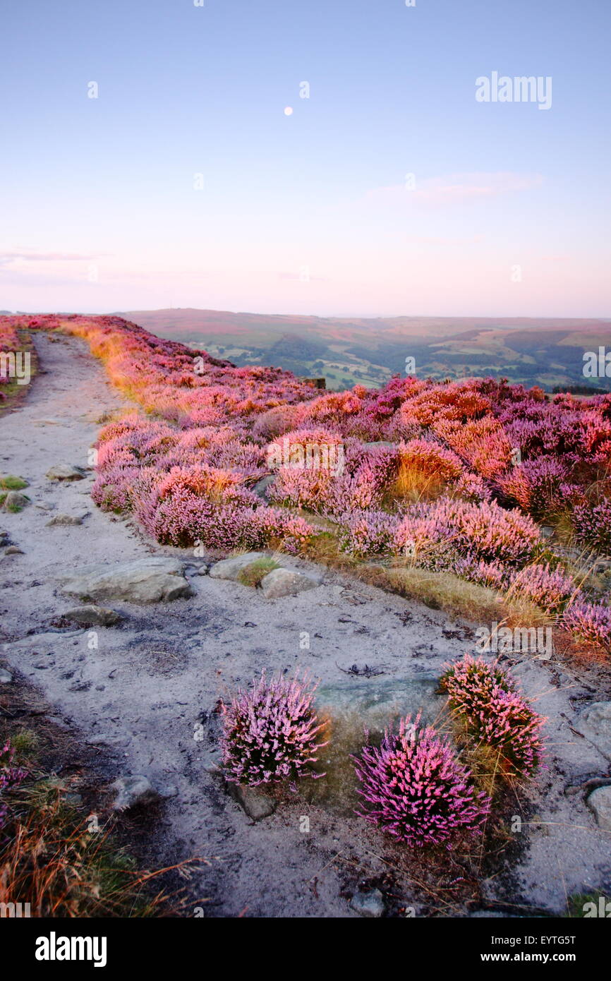 Heather moors hi-res stock photography and images - Alamy
