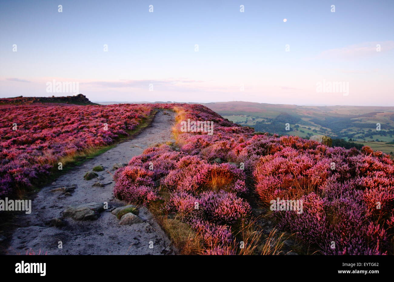Heather moors hi-res stock photography and images - Alamy