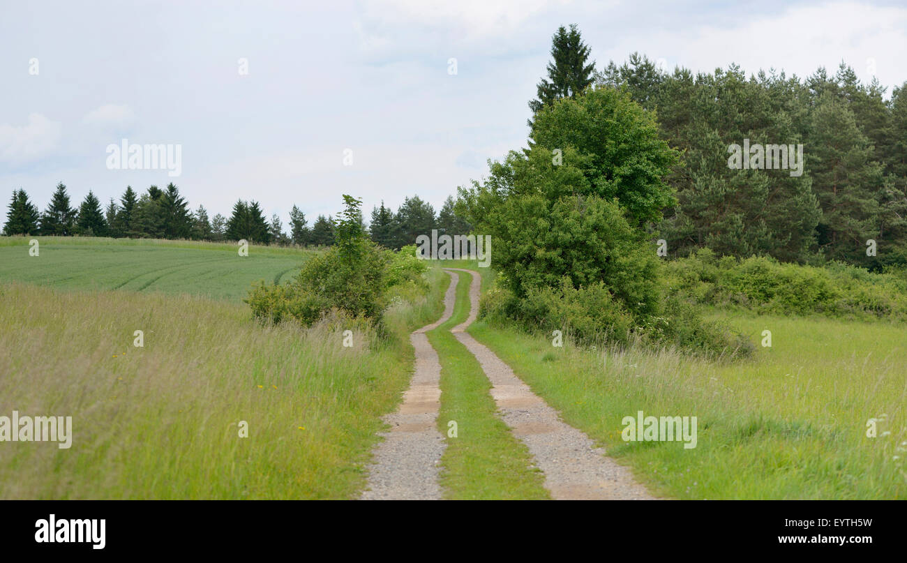 Panoramic scenery, country lane, meadows, trees, cloudy Stock Photo - Alamy