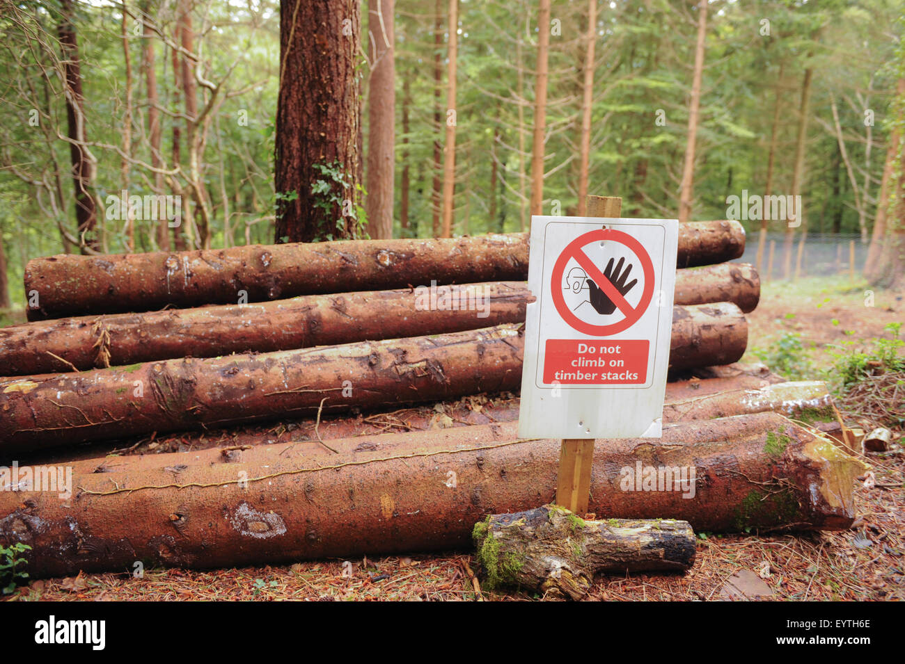 "Do not Climb on Timber Stack" Sign in Woodland at Rosemoor, near ...