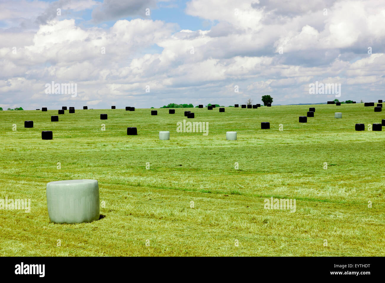 Bringing in bales hi-res stock photography and images - Alamy