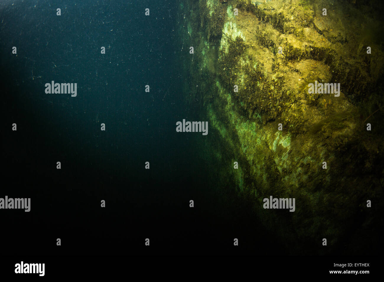 Freshwater underwater scene freshwater fish hi-res stock photography ...