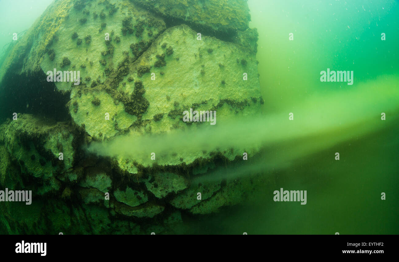 Underwater landscape freshwater lake Stock Photo - Alamy