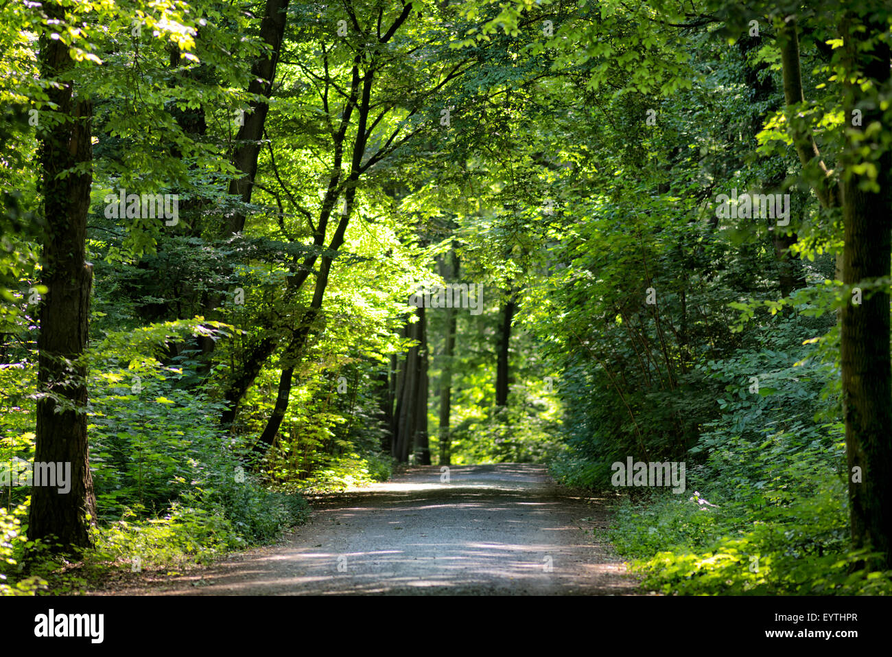 Goetheturm frankfurt hi-res stock photography and images - Alamy