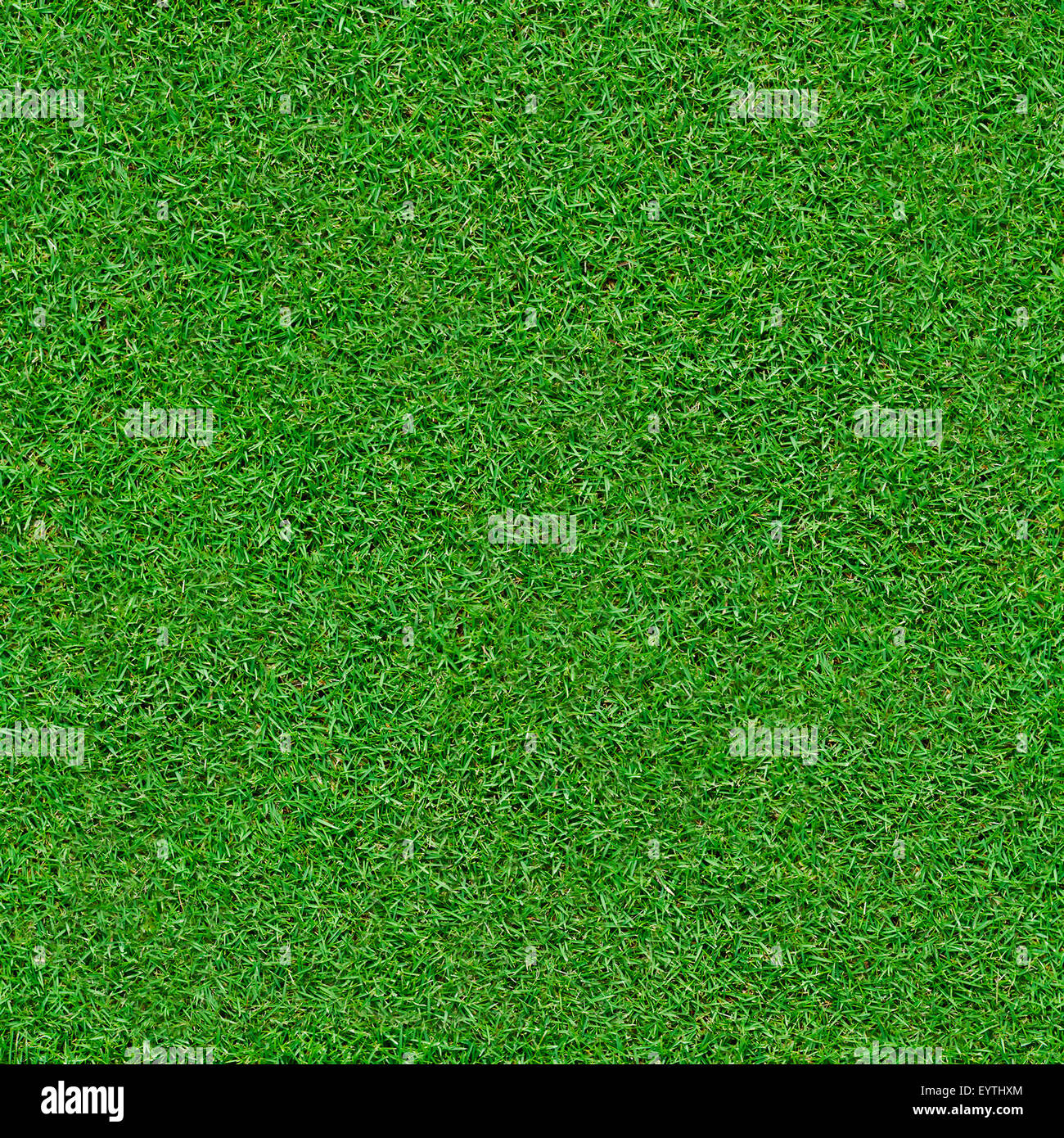 Grass Background Tile
