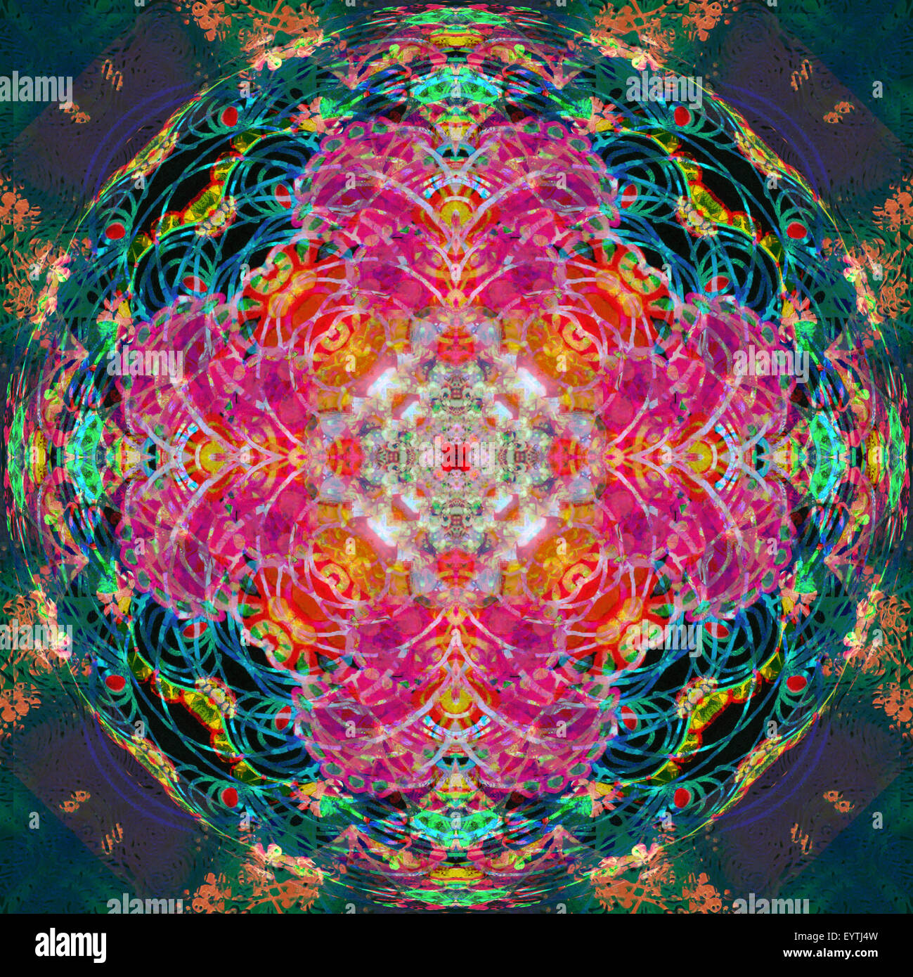 Photomontage of flowers, conceptual composing work Stock Photo - Alamy