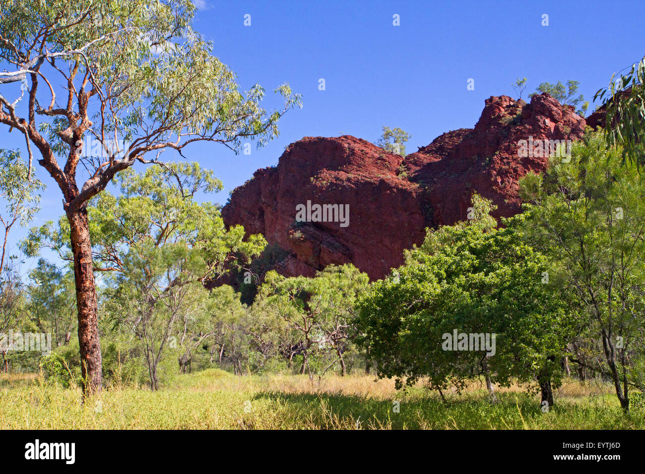 Boodjamulla National Park High Resolution Stock Photography and Images ...