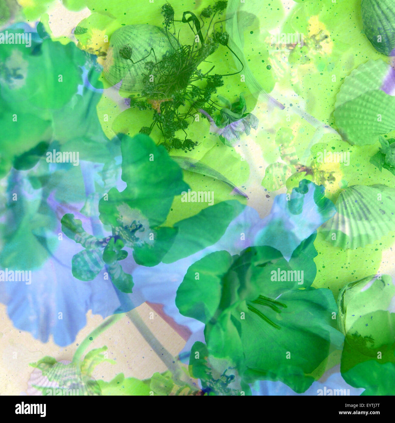 montage of blossoms and mussels in violet and lilac tones Stock Photo ...