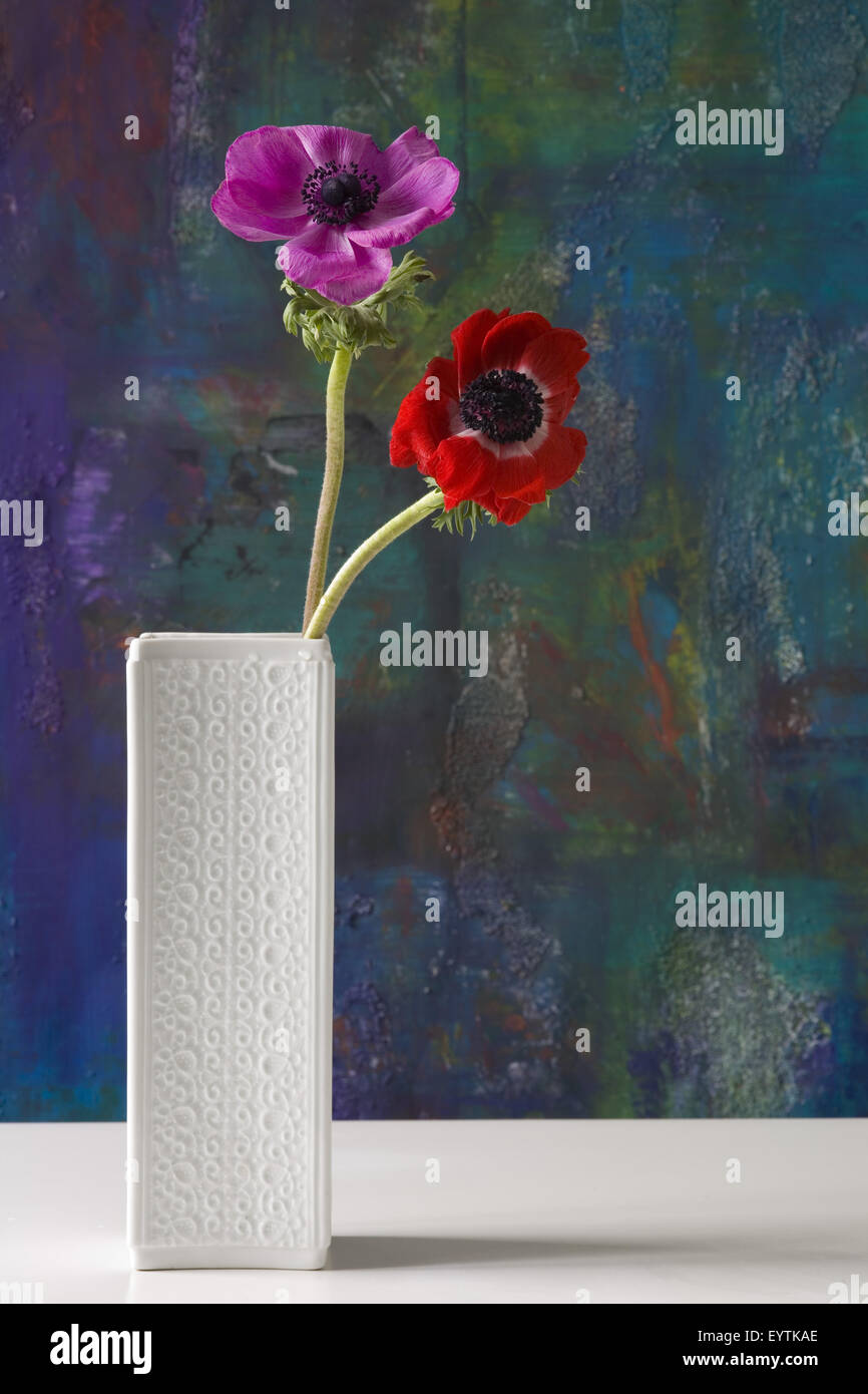Two poppies in white vase Stock Photo - Alamy