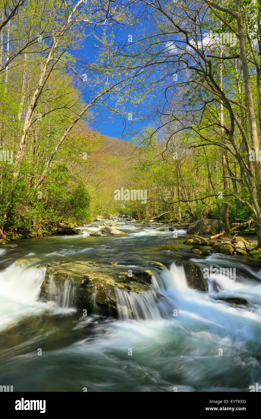 Little River, Trail, Elkmont Area, Great Smoky Mountains National Park ...