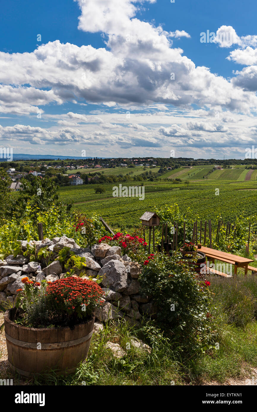 Perchtoldsdorf village hi-res stock photography and images - Alamy