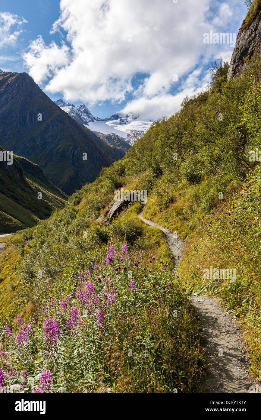 Austria, Tyrol, East Tyrol, Umbaltal, Isel (river), mountain stream ...