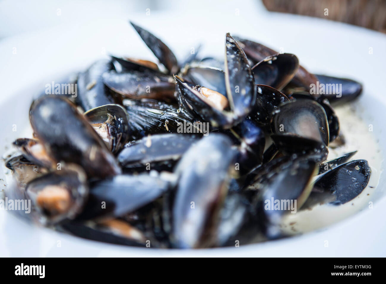 Rotten mussel hi-res stock photography and images - Alamy
