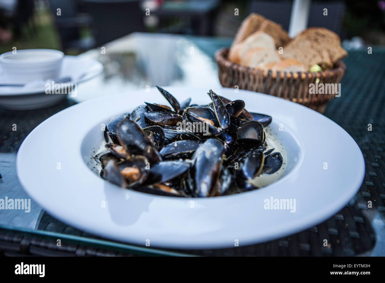 Rotten mussel hi-res stock photography and images - Alamy